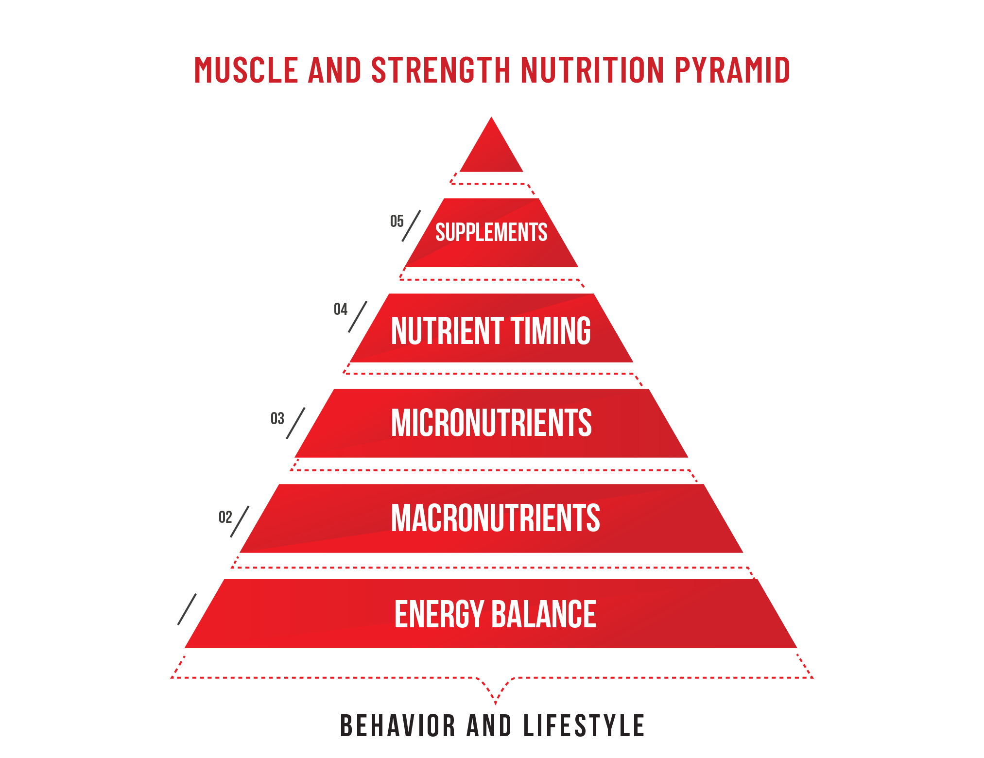 The Muscle and Strength Pyramid books: Nutrition and Training