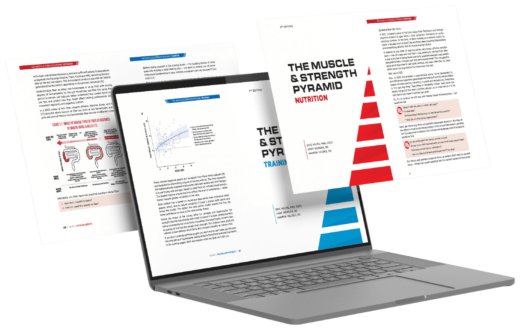 The Muscle and Strength Pyramid books: Nutrition and Training